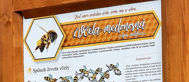 Včely do školy - Kaštieľ Jelšava